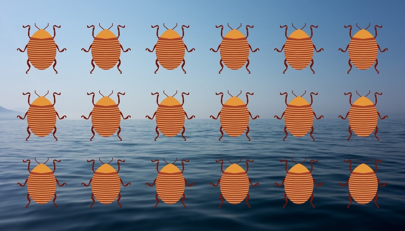 Everything You Need to Know About Bed Bugs on Cruise Ships • Owen ...